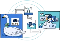 Image loading failure