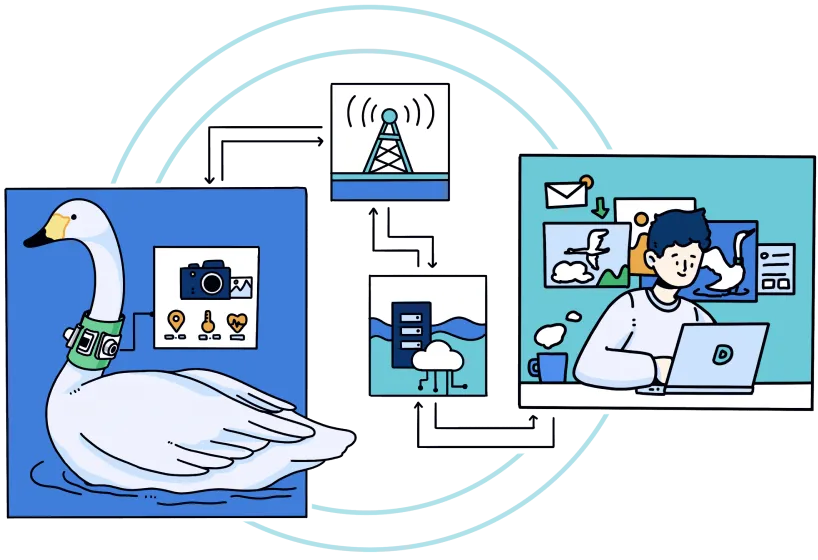 Image loading failure